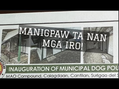 GUSTO BA NIJO MA-SIGPAW AN IJO IRO? #caraga #cantilan #surigao # ...