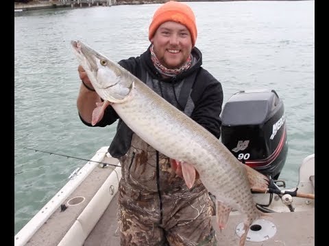 Two Muskies in 5 MINUTES!!....Lake St Clair Musky Fishing - YouTube
