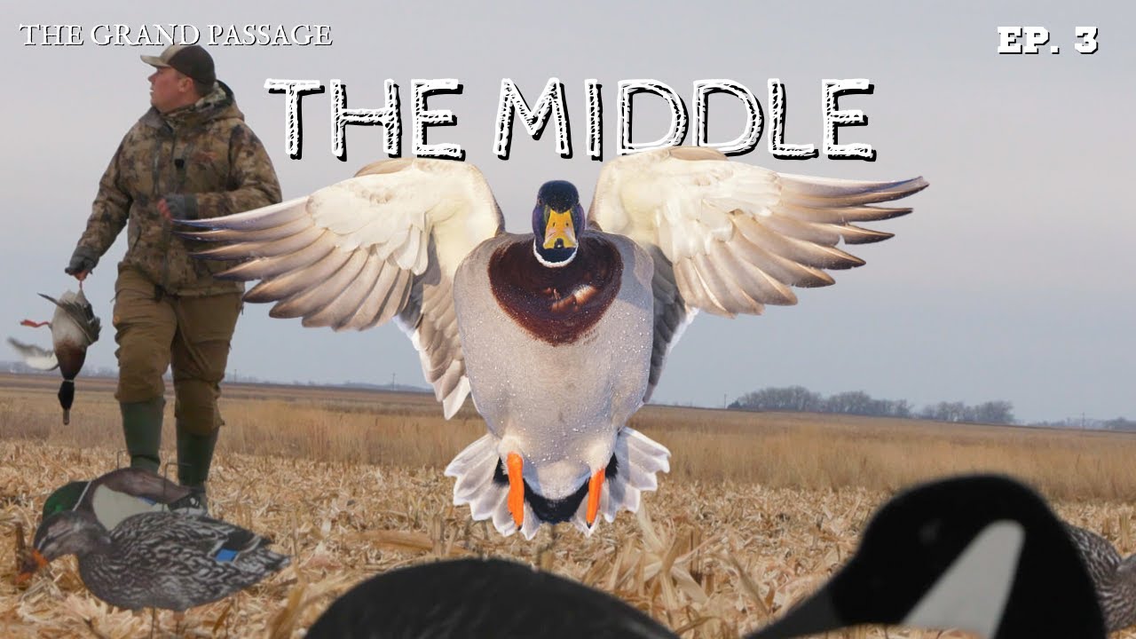 Ep. 3: Duck Hunting in South Dakota | The Grand Passage - YouTube