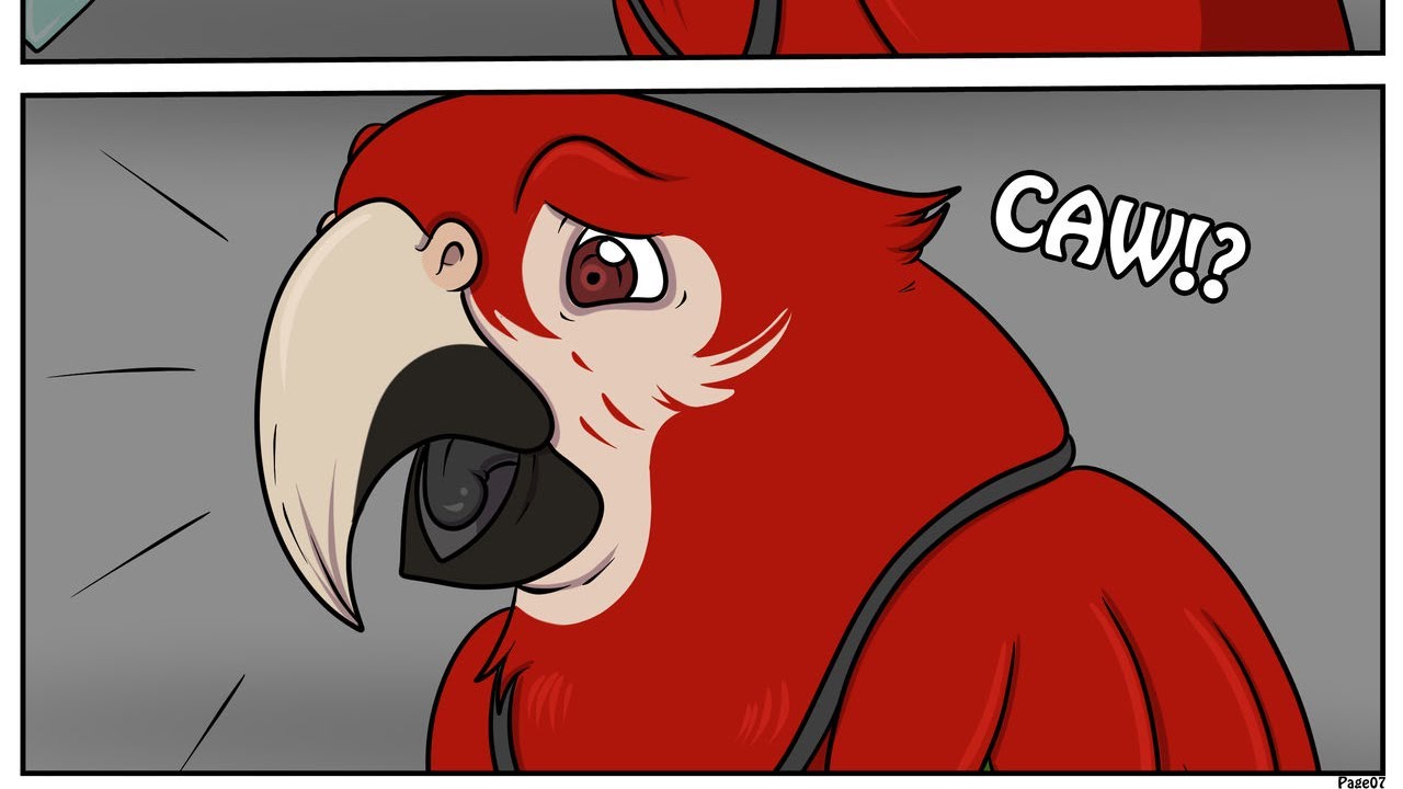 Parrot transformation (comic) - YouTube