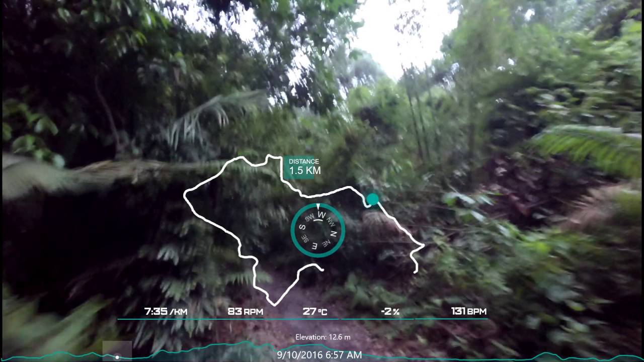 20161009 Trail run at MacRitchie Reservoir - 1st 8.5 km only, battery ...