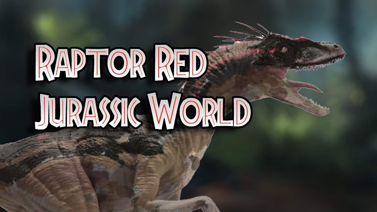 Quien es realmente el RAPTOR RED de Jurassic World - YouTube