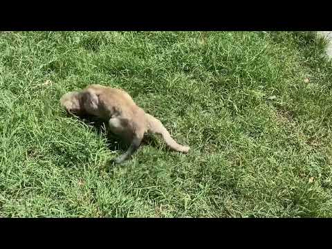 #Kendini sevdirmek için emekleyen# öpüş