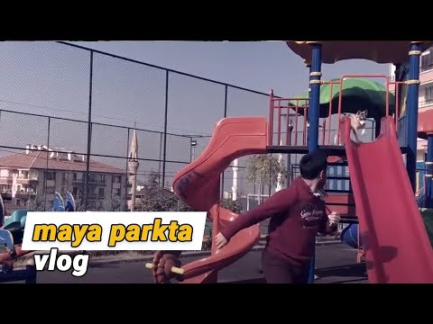 Sibirya Kurdu ve Bebek Parkta Sallanıyor | Baby and Siberian Husky are swinging