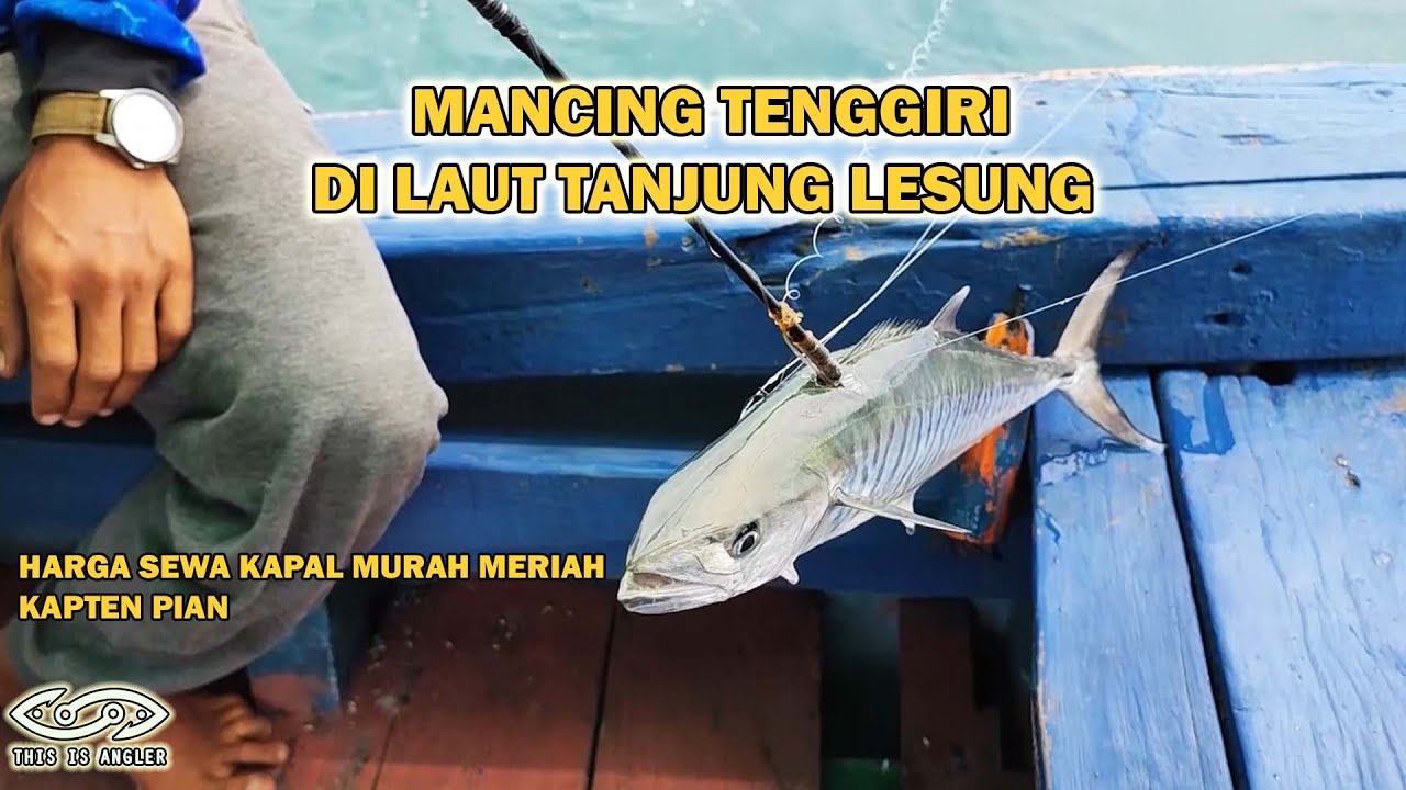 Mancing Ikan Tenggiri Di Spot Potensial, Laut Tanjung Lesung Panimbang ...