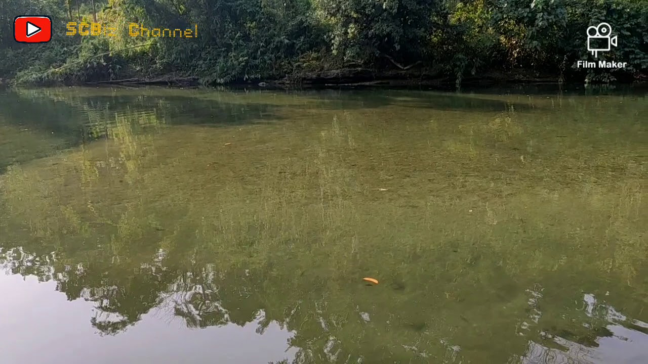 Crystal clear river - YouTube