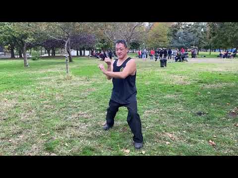 (Video #99) Dragon Style Kung Fu Instructional: Basic Power, Stances, Hand Techniques, and Footwork