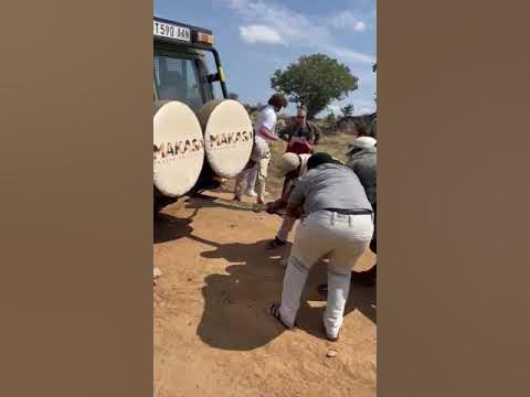 African Rock Python vs Man fight - YouTube