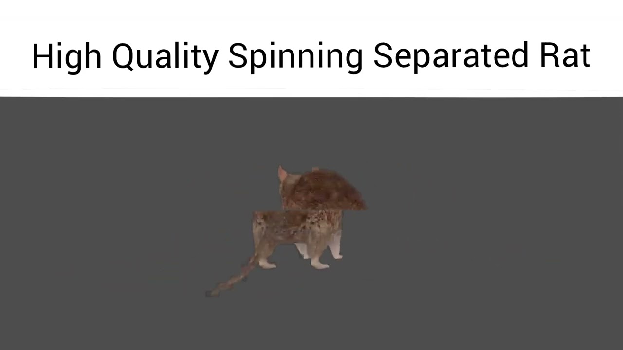 High Quality Spinning Separated Rat - YouTube