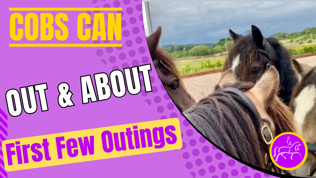 Out About 1st Few Outings Video 14 YouTube out-about-1st-few-outings-video-14-youtube