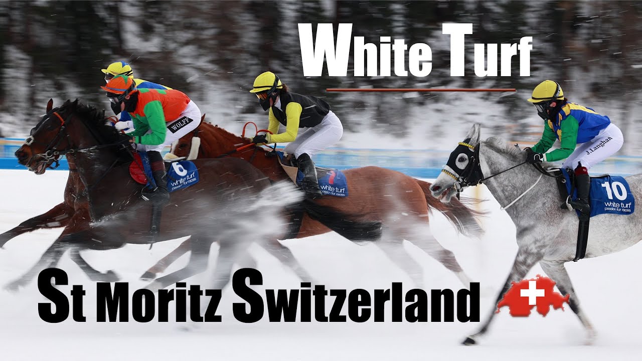 St. Moritz, Switzerland | White Turf - YouTube