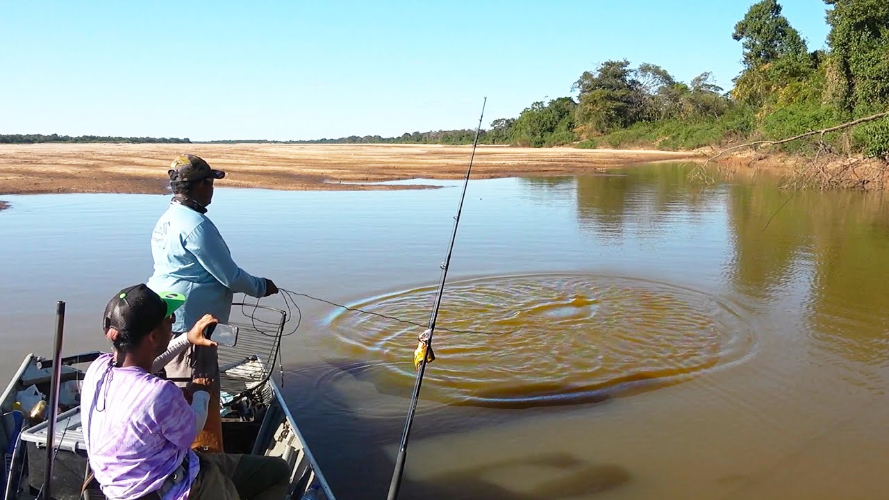 【Fishing in Amazon】 BIG CATCH with Bait Fish that were Caught with Cast ...