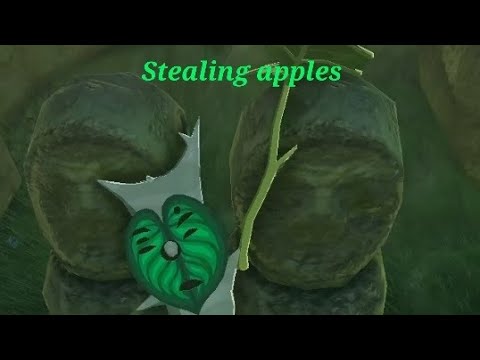 Stealing apples - YouTube