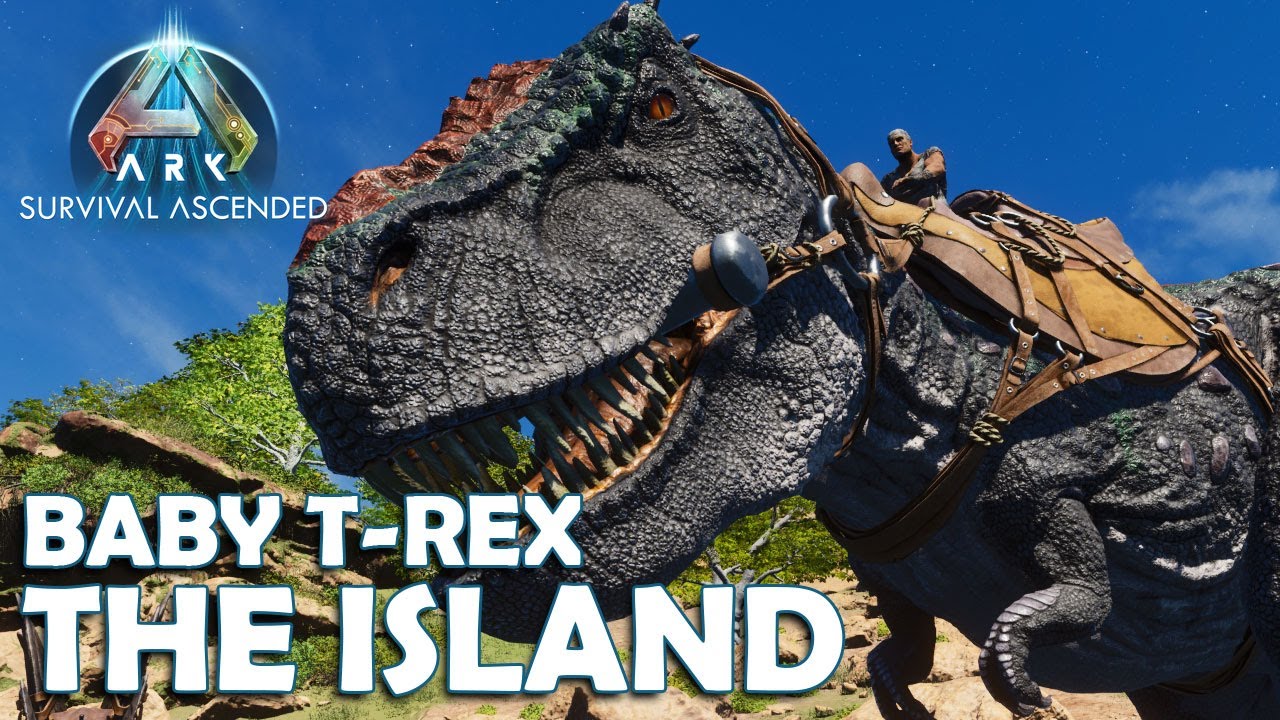 Building Outpost Dino Path Ark Survival Ascended S1 Ep8 Youtube