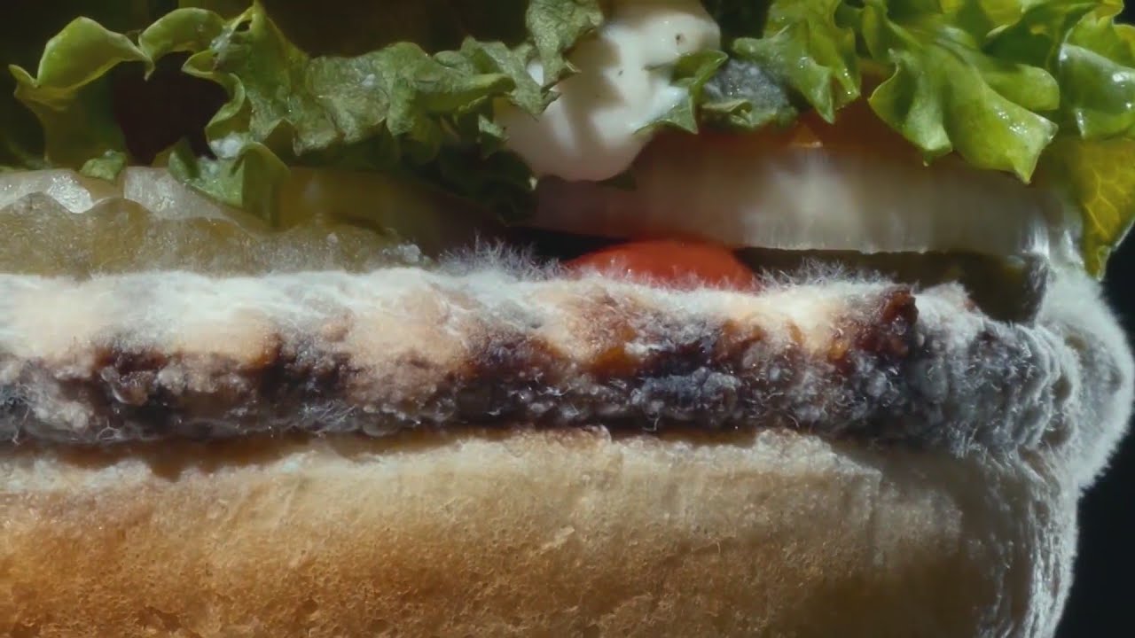 Burger King launches new ad featuring moldy Whopper - YouTube