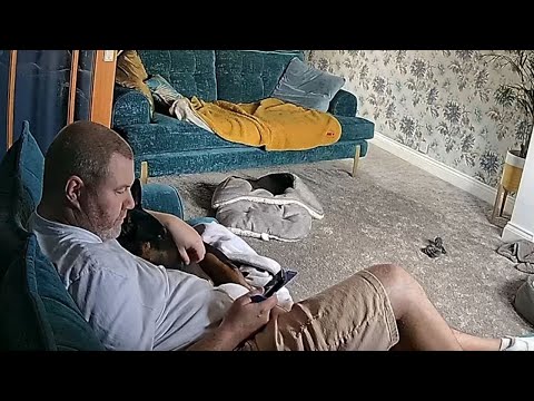 Dog uses human as a springboard for high-flying fun while engulfed in a vortex of zoomies