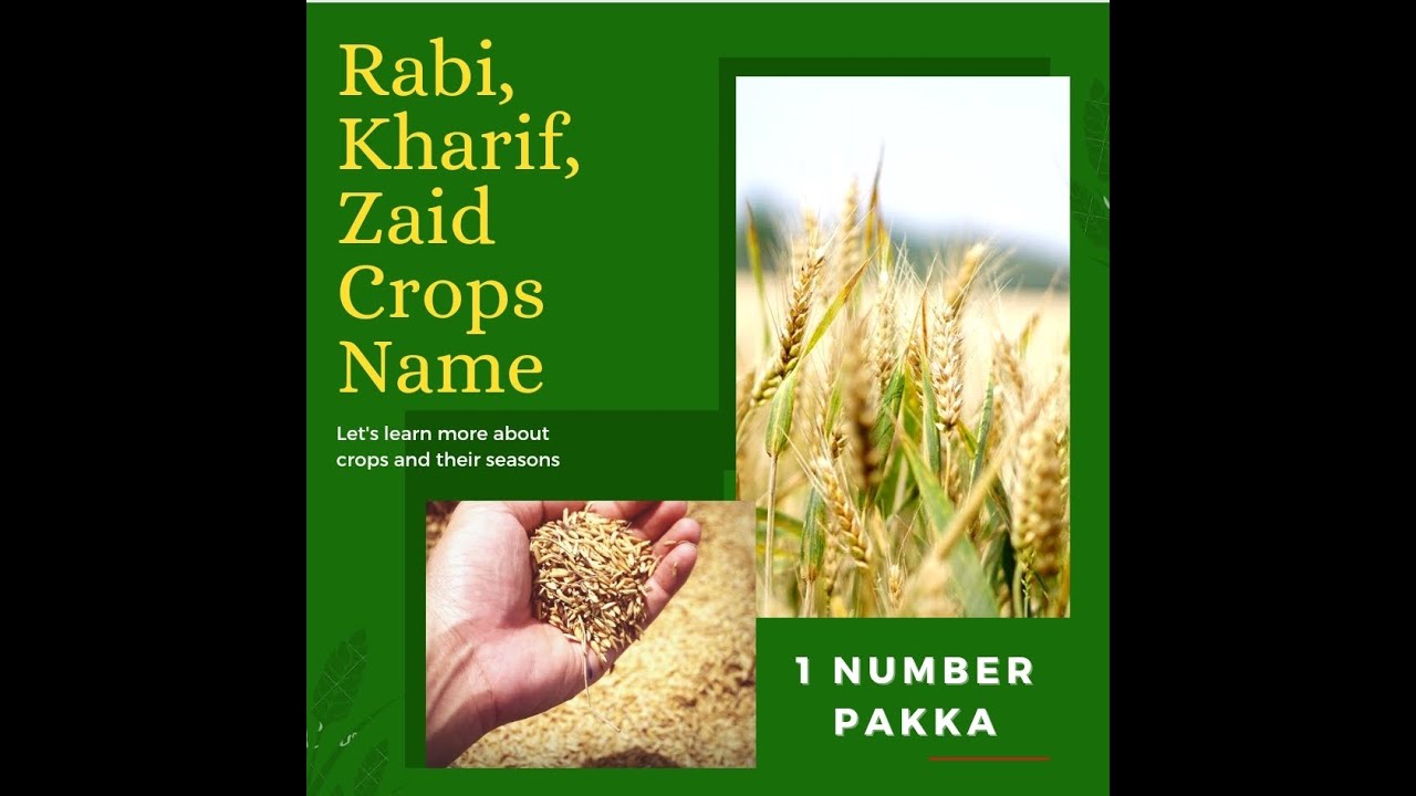 Tricks to remember Kharif, Rabi and Zaid Crops (UPSC/SSC/Bank/RRB Exams ...