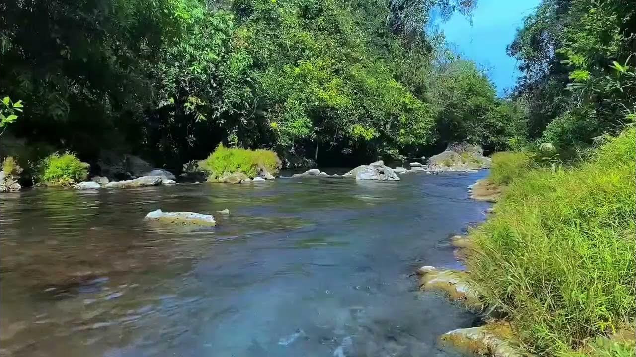 PEACEFUL CREEK SOUNDS IN THE MOUNTAINS OF VERMONT: RELAXING NATURE SOUNDS - YouTube
