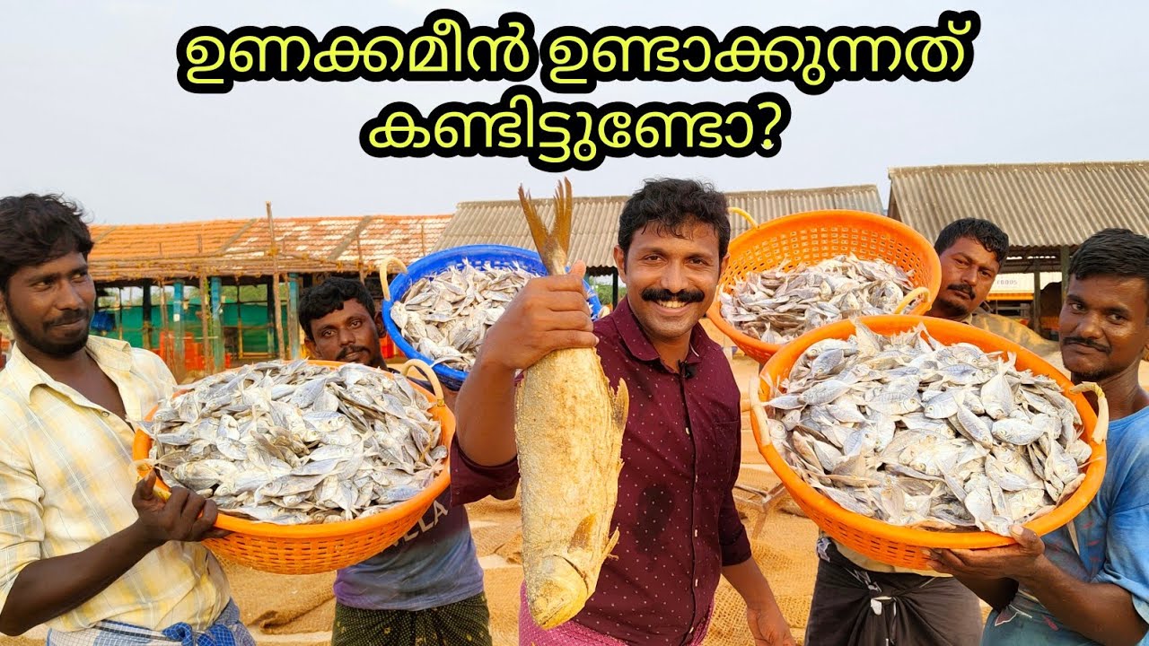 Dried Fish Processing Explained | How is dried fish prepared - YouTube