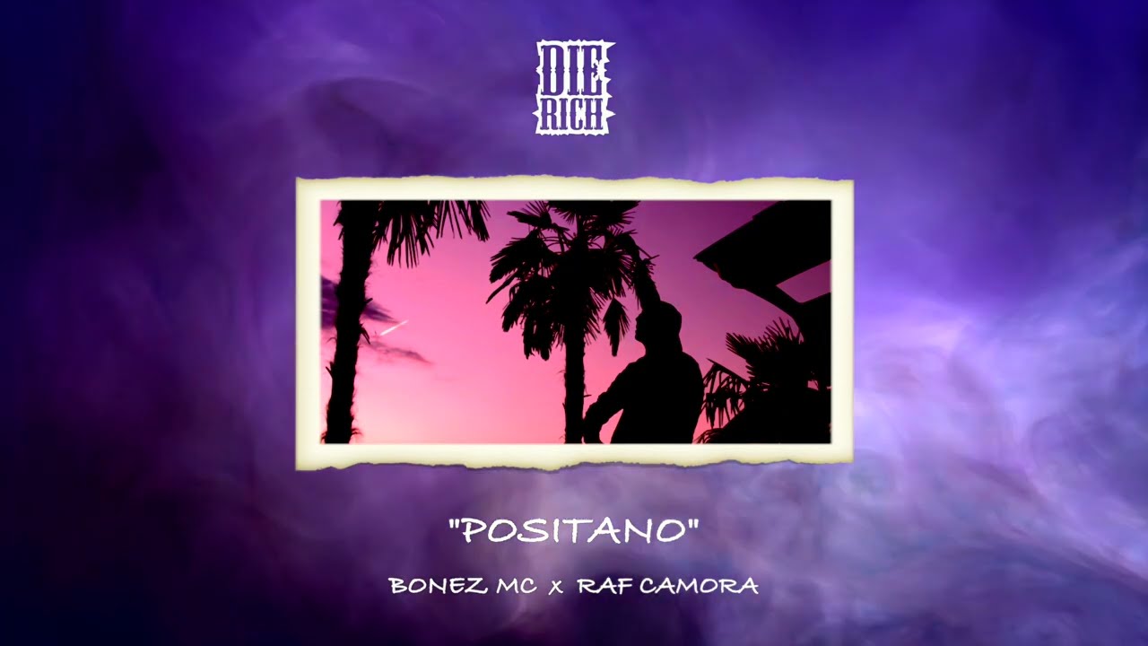 🐊 POSITANO 🐊 Palmen Aus Plastik 3 REGGAE type beat 🐊 BONEZ MC & RAF ...