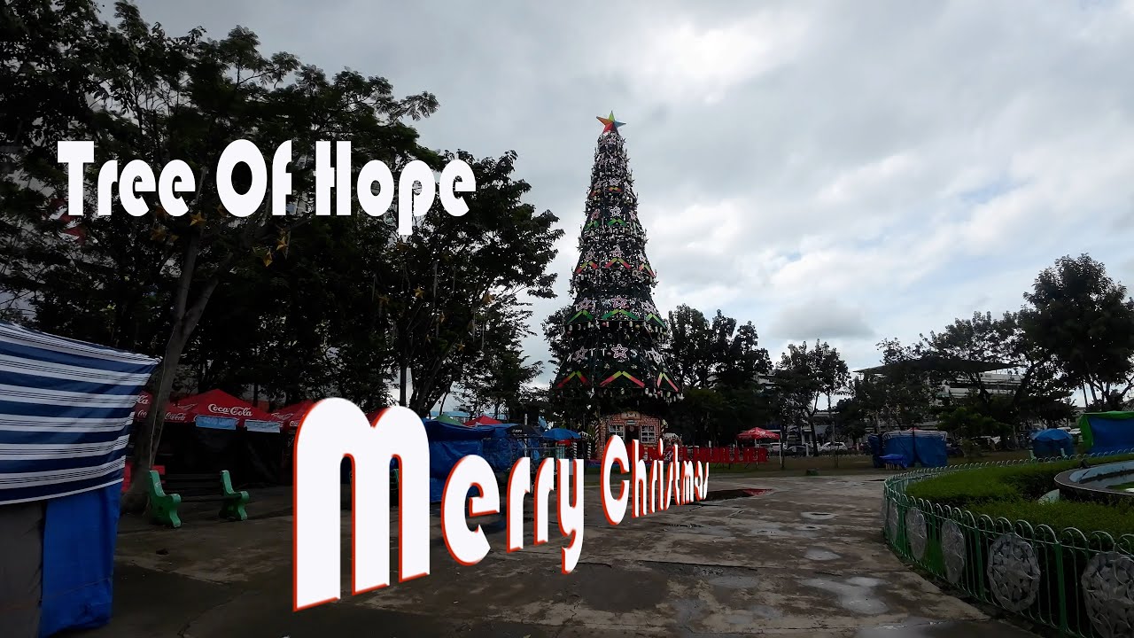 The Christmas Tree Of Hope At Fuente Osmeña Circle Cebu City - YouTube