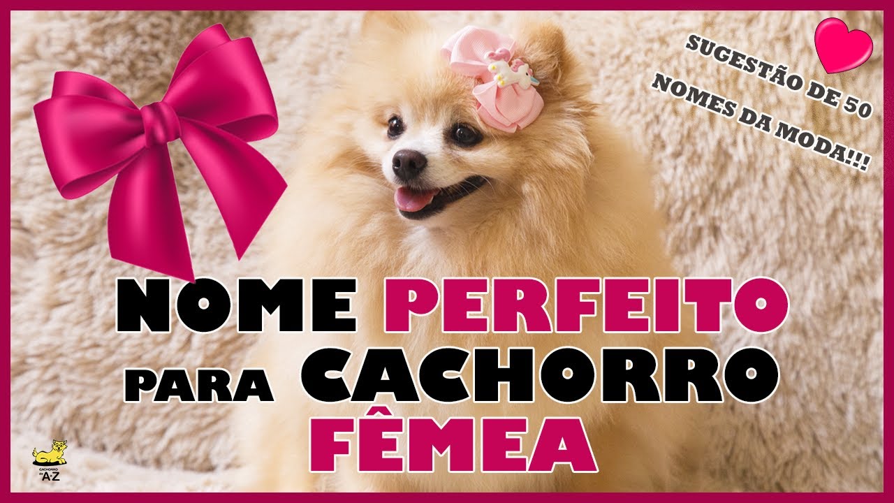 Nomes Para Dar Para Cachorro Fêmea - FDPLEARN