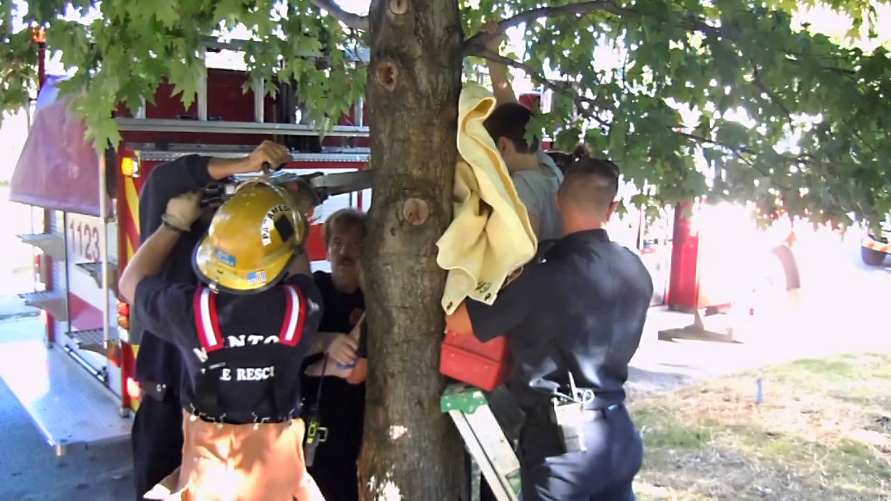 Ben getting rescued by the Mentor Fire Department - YouTube