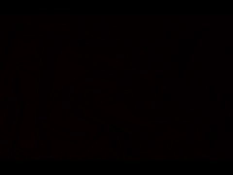 Lil Pump x Carnage - \
