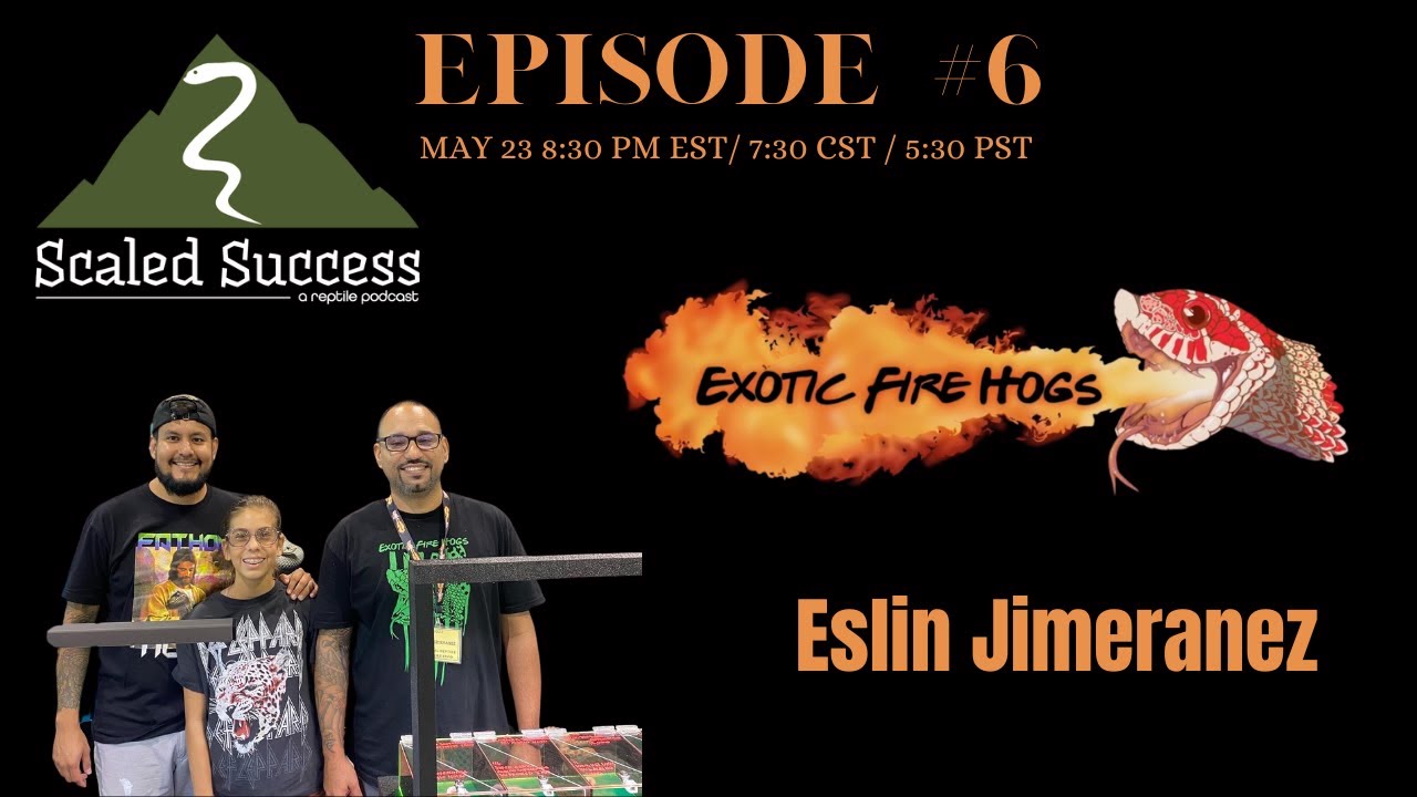 Scaled Success Reptile Podcast Episode #6 - Eslin of Exotic Fire Hogs ...