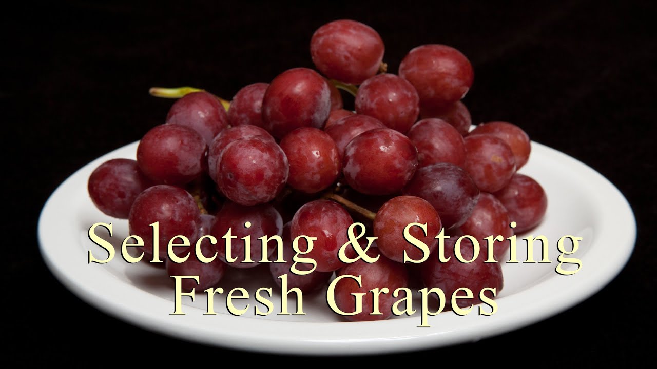 How To Select & Store Fresh Grapes (Home Cooking 101) DiTuro ...