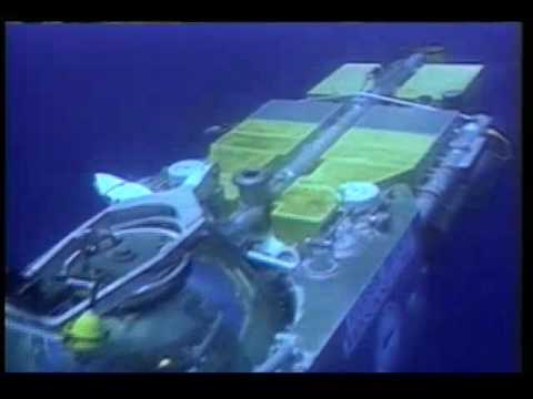 Işık saçan denizdeki canlılar