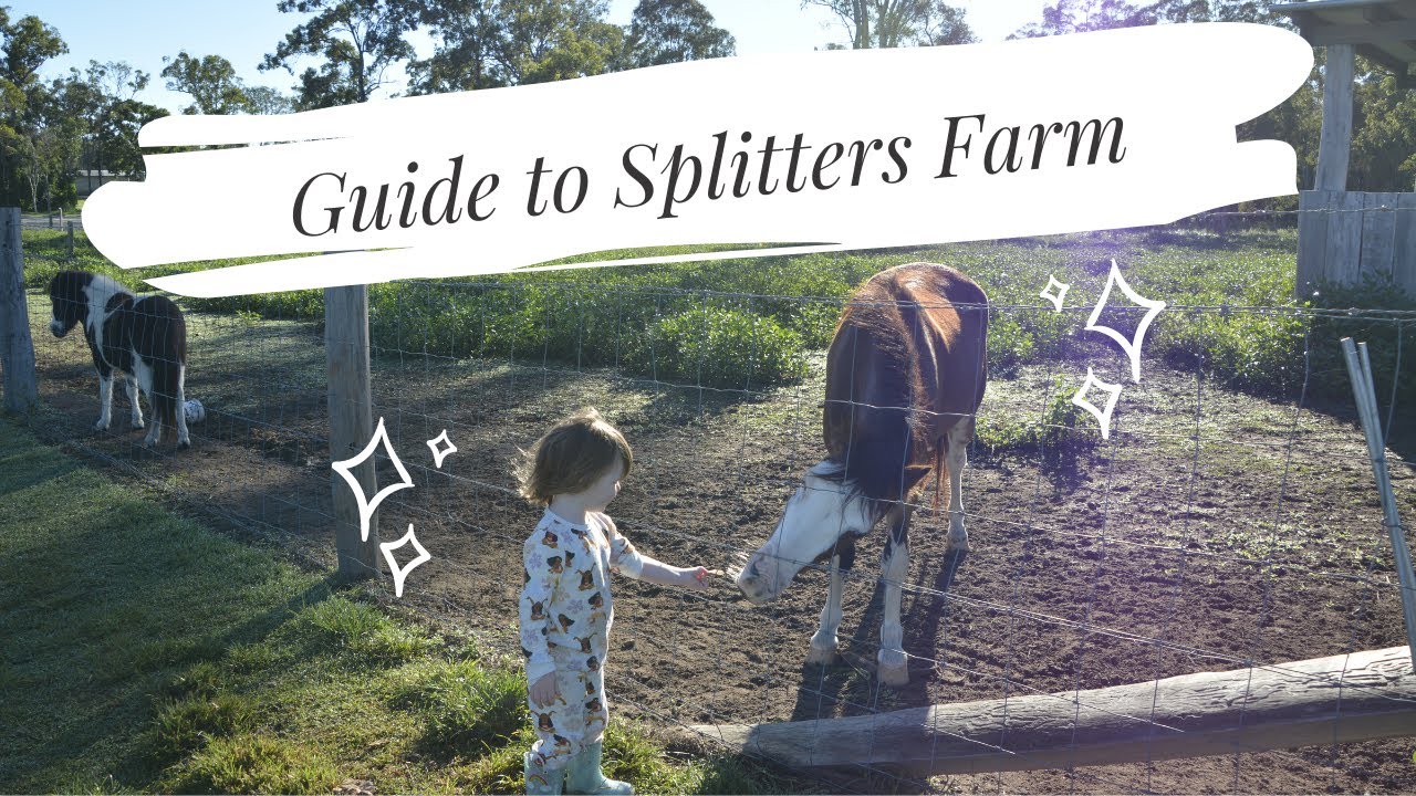 Farm stay weekend with kids at Splitters Farm - YouTube