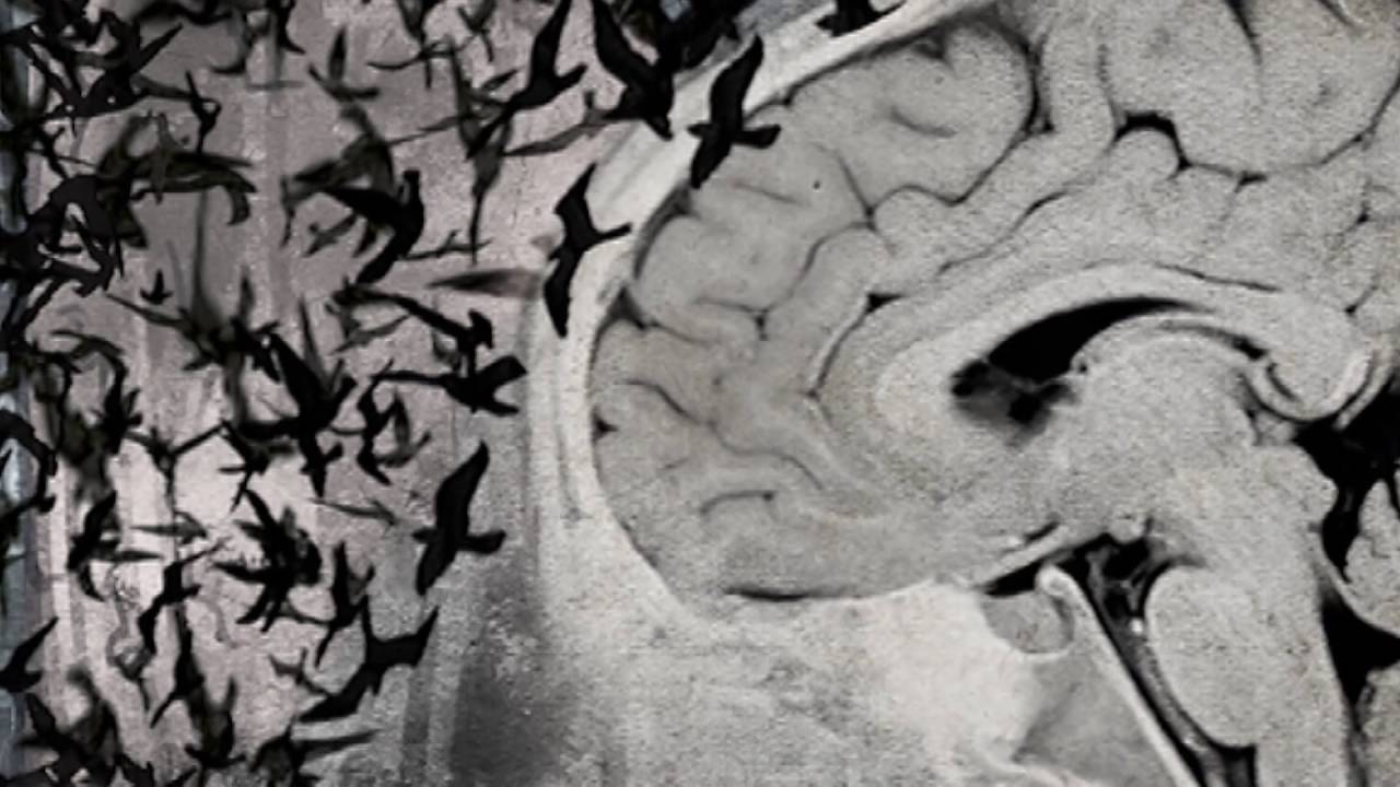 Introducing The Sluagh - YouTube