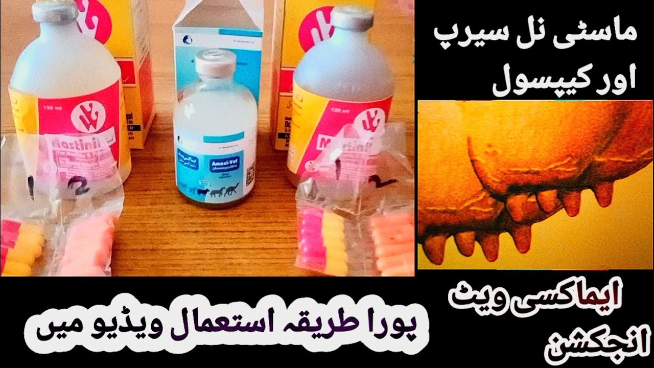 Mastinil Oral /Amoxi-Vet injection //for Mastitis $ Fibrosis Dispensed ...