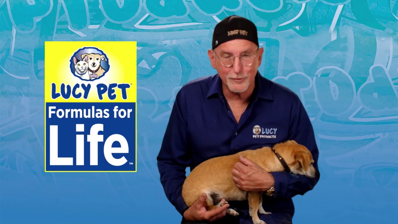 Formula for Life with Joey and Rick and Dr. Fahey - YouTube