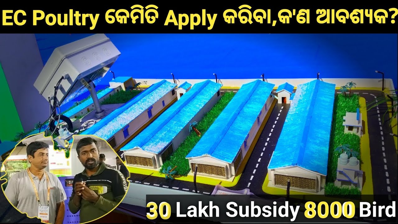 How We Can Apply EC Poultry Farm In 50% Subsidy ? #ECPoultry ପାଇଁ Bank ...