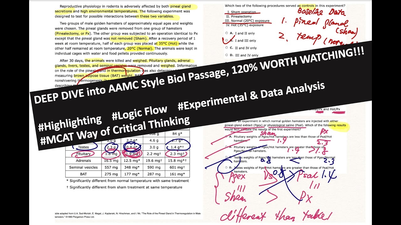 MCAT - Deep Digging AAMC Free Sample Test BB Passage 8|Experiment ...