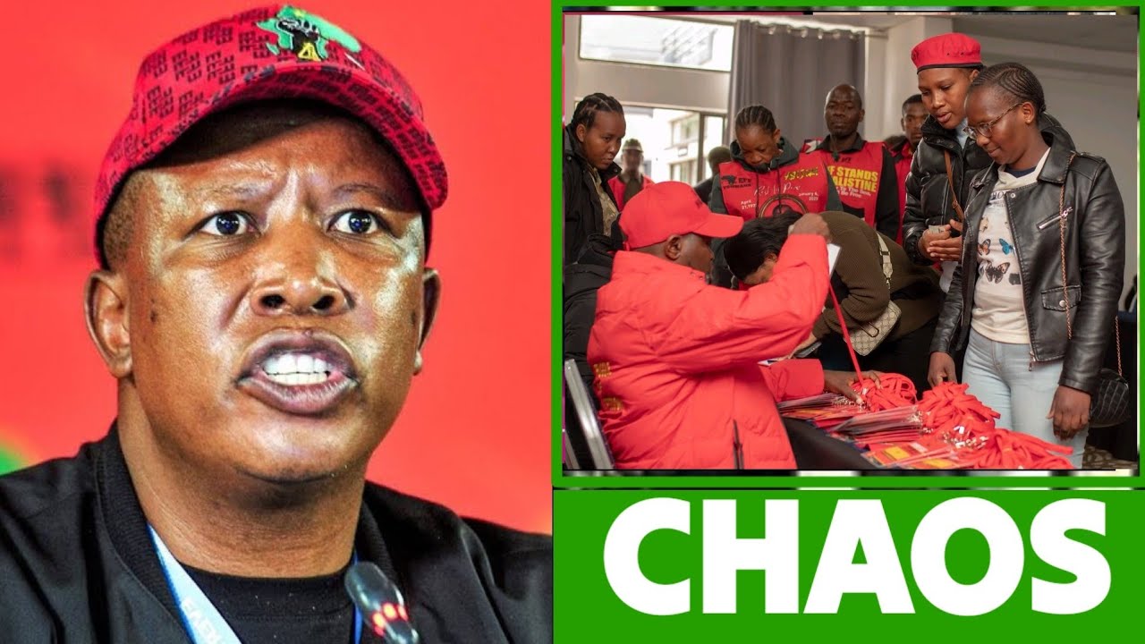 EFF in CHAOS: Regional Structures DISBANDED Overnight — What Poppy ...