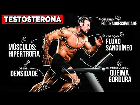 A Rotina Diária Perfeita para 3X MAIS TESTOSTERONA
