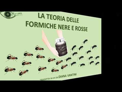 La Teoria delle formiche nere e rosse - YouTube