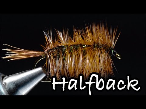 Halfback Nymph Fly Tying Instructions by Charlie Craven - YouTube