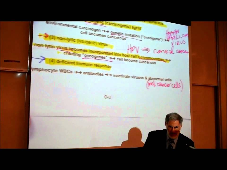 BIOLOGY; CANCER; VIRUSES & THE IMMUNE SYSTEM by Professor Fink.wmv ...