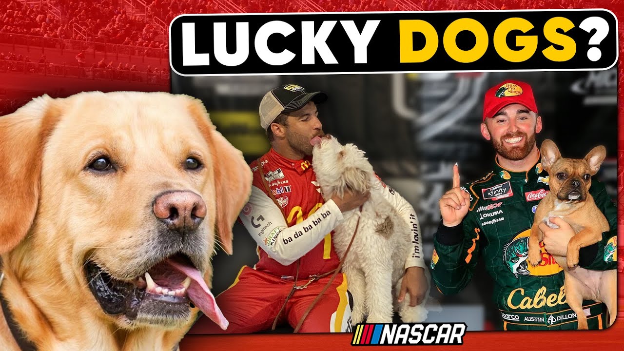 Monkey In The Car, Beloved Dogs and More NASCAR Pet Tales | Dale ...