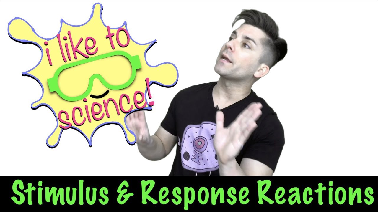 Stimulus/Response Reactions - YouTube