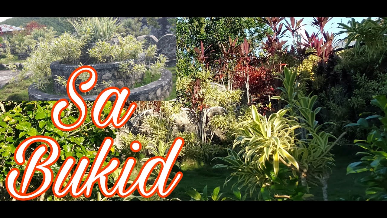 Mabognaw na Bukid | Bukiran sa Barili - YouTube