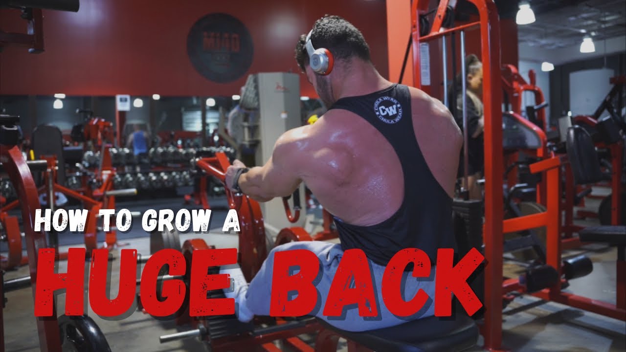 How to get a HUGE BACK!! Full workout with explanation - YouTube