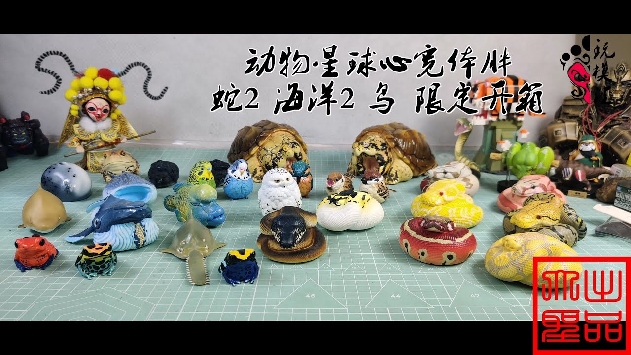 玩模汇）动物星球心宽体胖蛇2 海洋2 鸟 限定开箱Animal Planet Heart Wide Body Fat Snake 2 ...