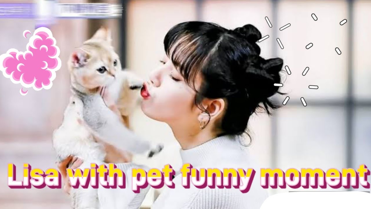 lisa with her cat cute abd funny moment 💕🙆🤘👏 👻😁😆 - YouTube
