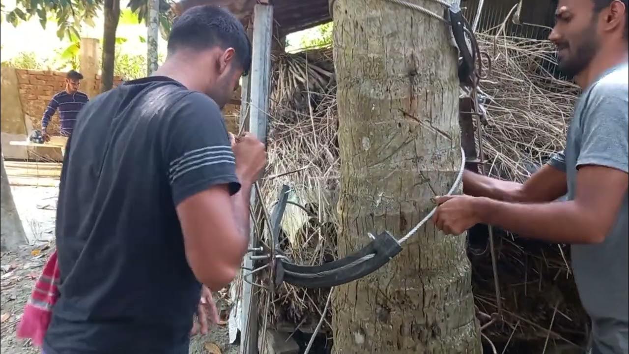 How to climb Coconut tree - YouTube