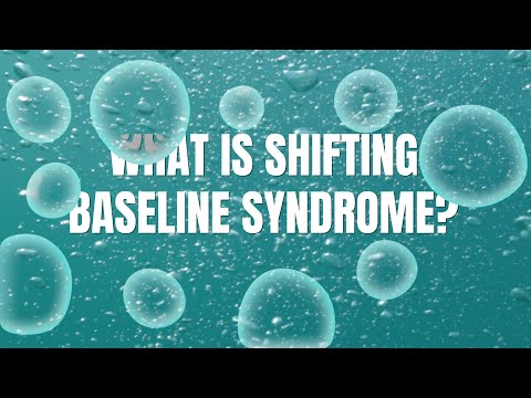 What Is Shifting Baseline For Ecology